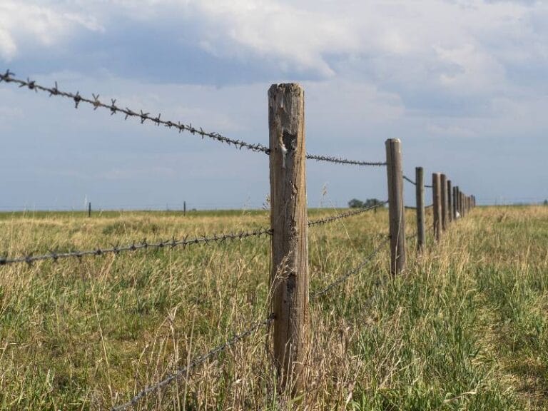 Razor Wire vs Barbed Wire: Understand the Differences